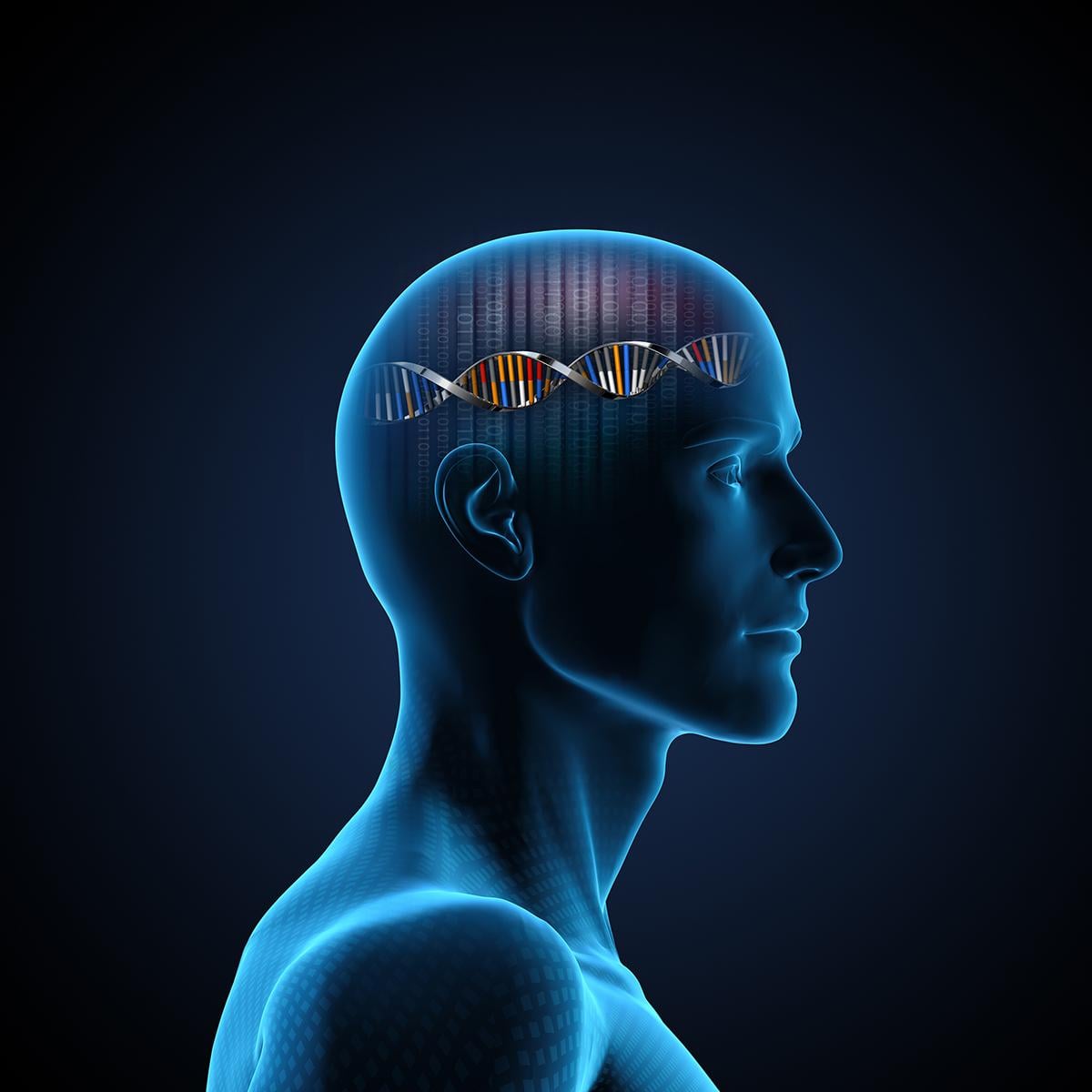 Revealing gene regulation in the brain | National Institutes of Health ...