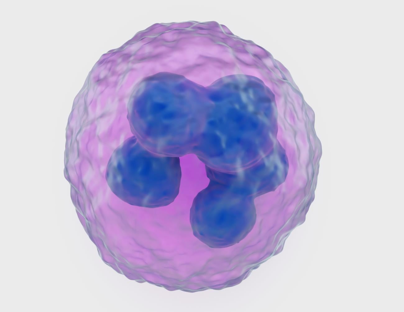 Stress may awaken dormant cancer cells | National Institutes of Health ...