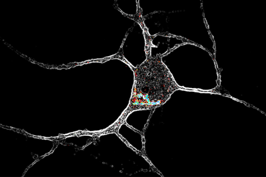 Treating depression | National Institutes of Health (NIH)