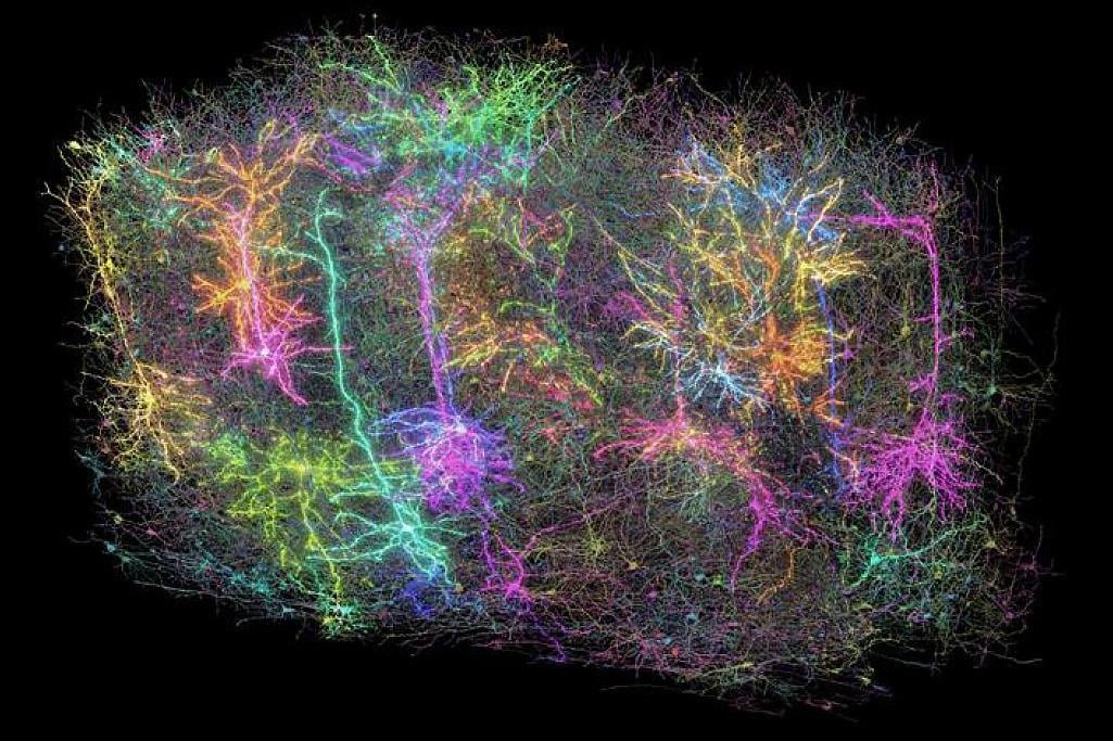 Understanding how visual information is processed in the brain ...