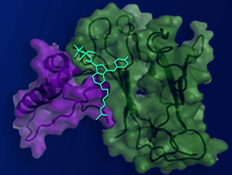 Non-opioid compound for chronic pain relief | National Institutes of ...