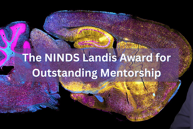NIH Challenges and Prize Competitions | National Institutes of Health (NIH)