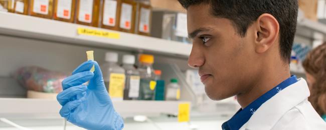 About NIH | National Institutes of Health (NIH)