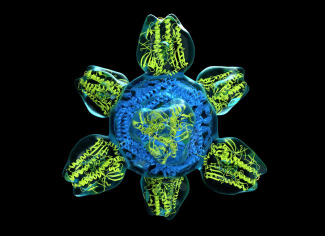 NIAID unveils strategic plan for developing a universal influenza ...