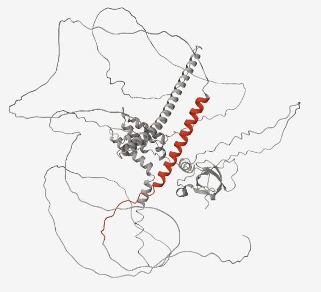 Abnormal proteins found in the spinal fluid of people with ALS and ...