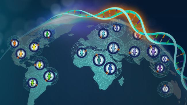 Researchers optimize genetic tests for diverse populations to tackle ...